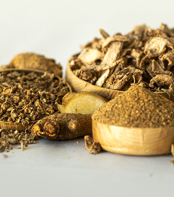 Ceylon Ginger - Elimgroup